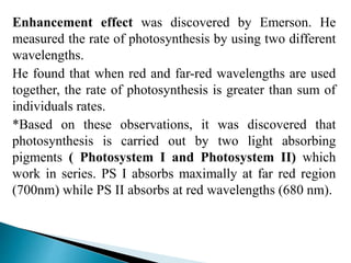 Photosynthesis in plants | PPTX