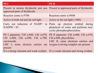 Photosynthesis in plants | PPTX