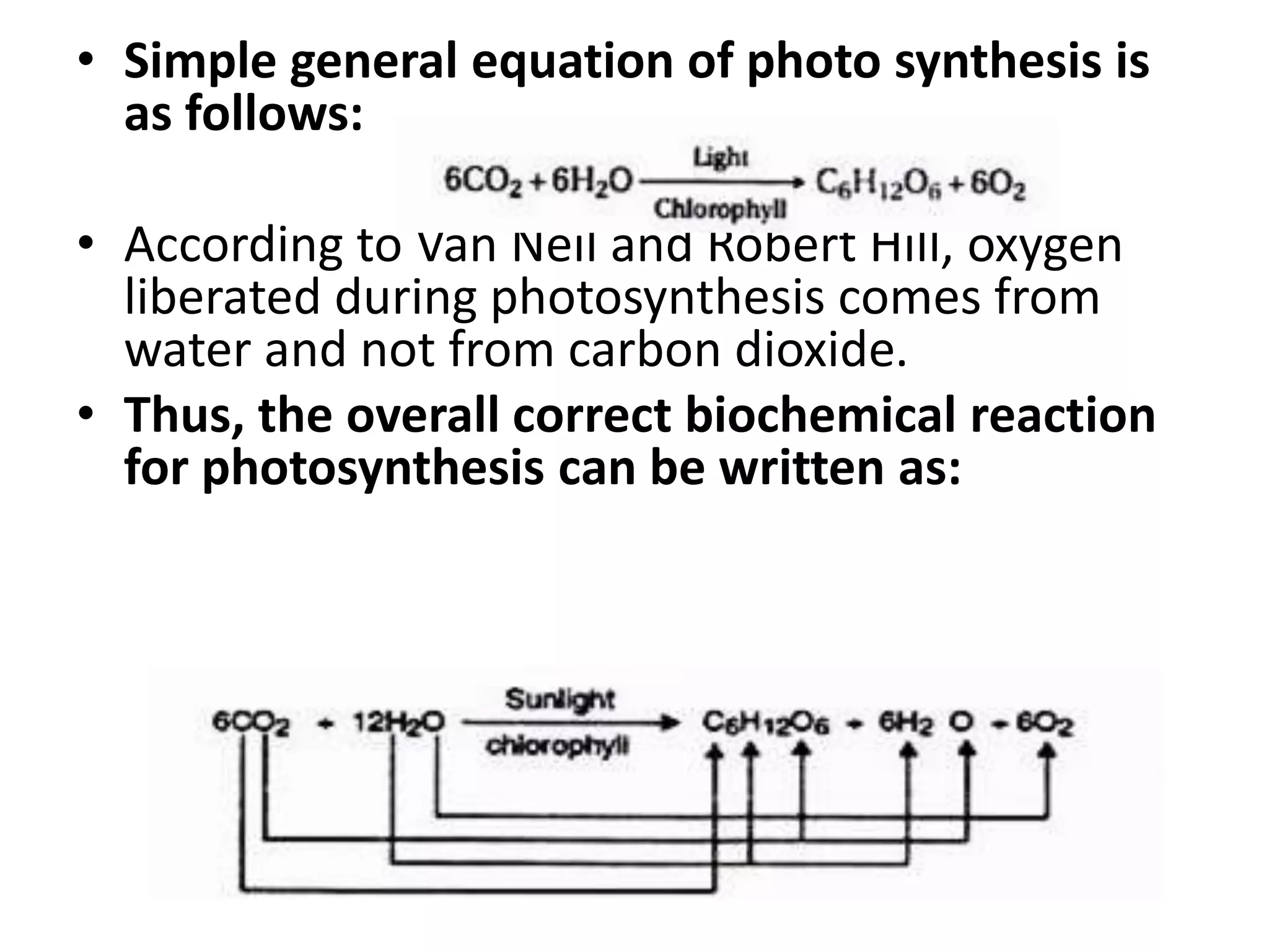 Photosynthesis in plants | PPTX | Chemistry | Science