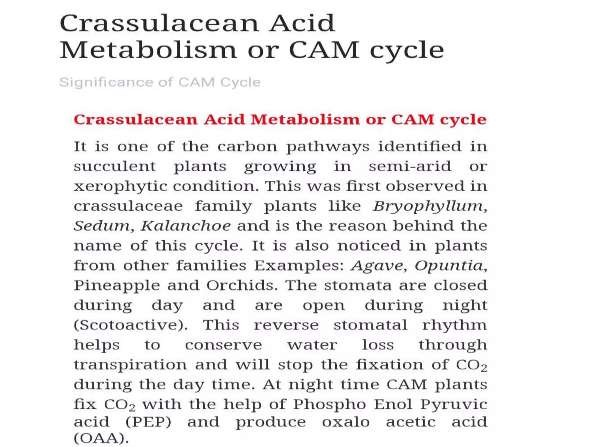 Photosynthesis in plants | PPTX | Chemistry | Science