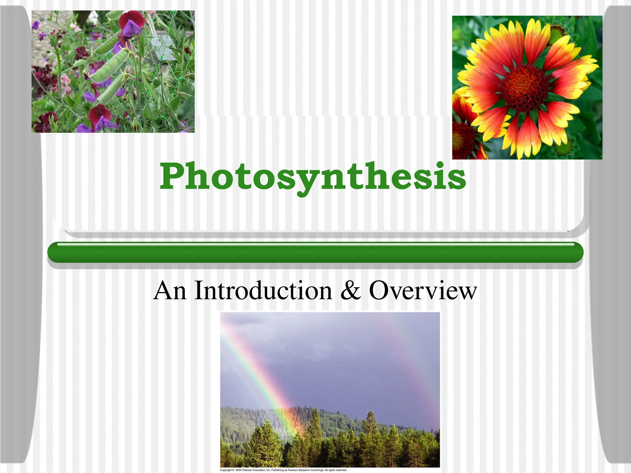 photosynthesisintroduction-Grade 9 Science.ppt