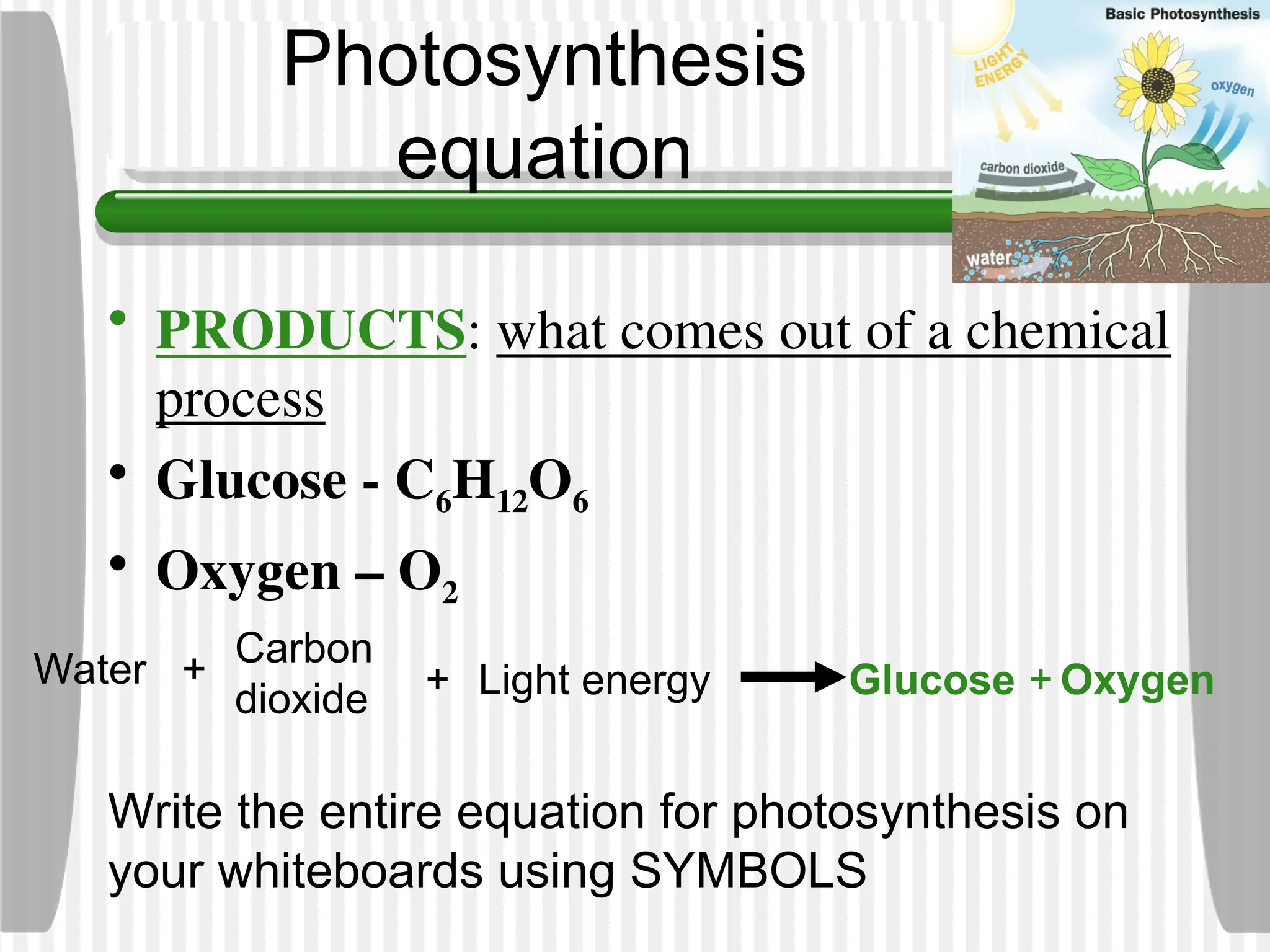 photosynthesisintroduction-Grade 9 Science.ppt