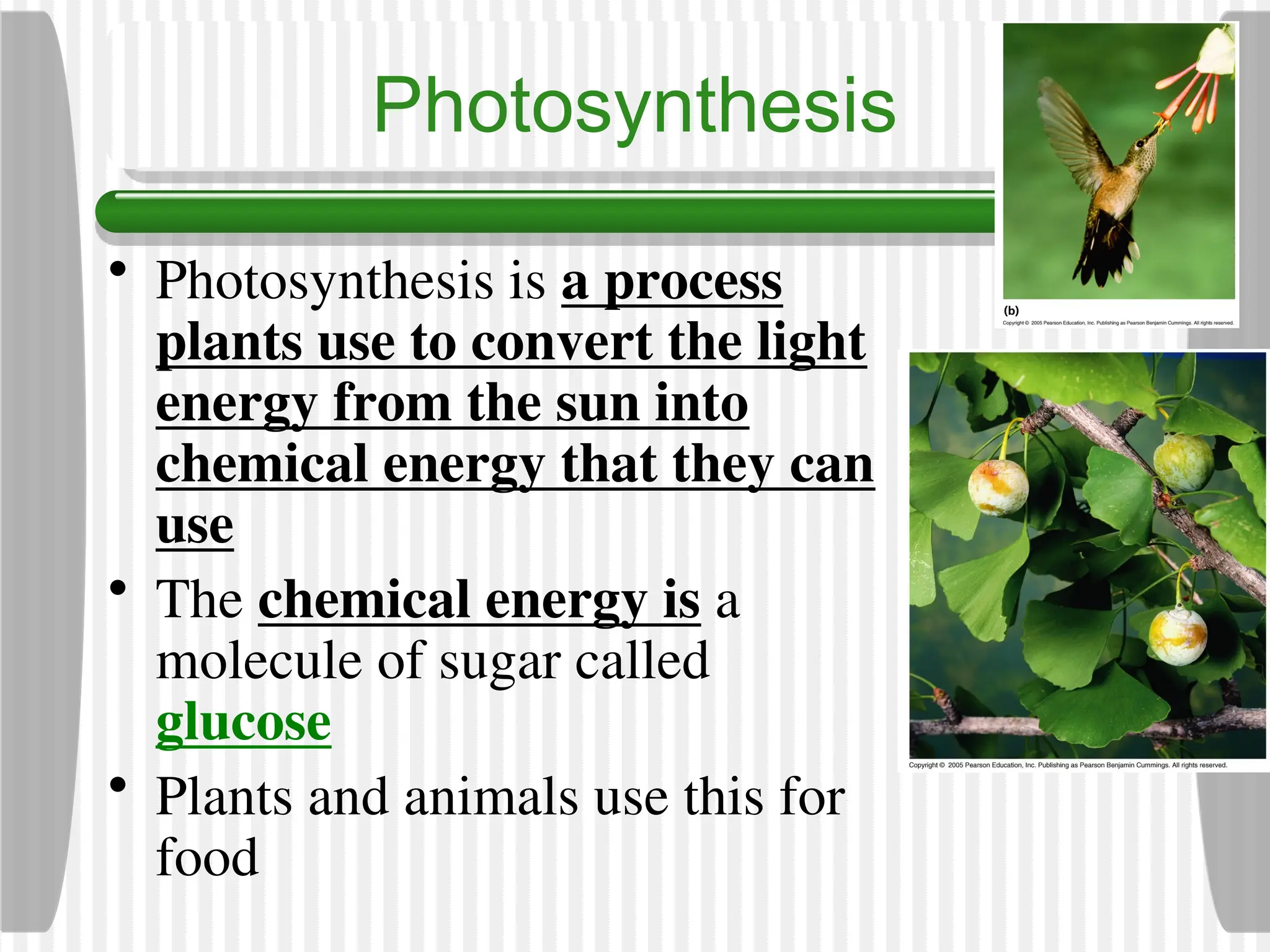 photosynthesisintroduction-Grade 9 Science.ppt | Chemistry | Science