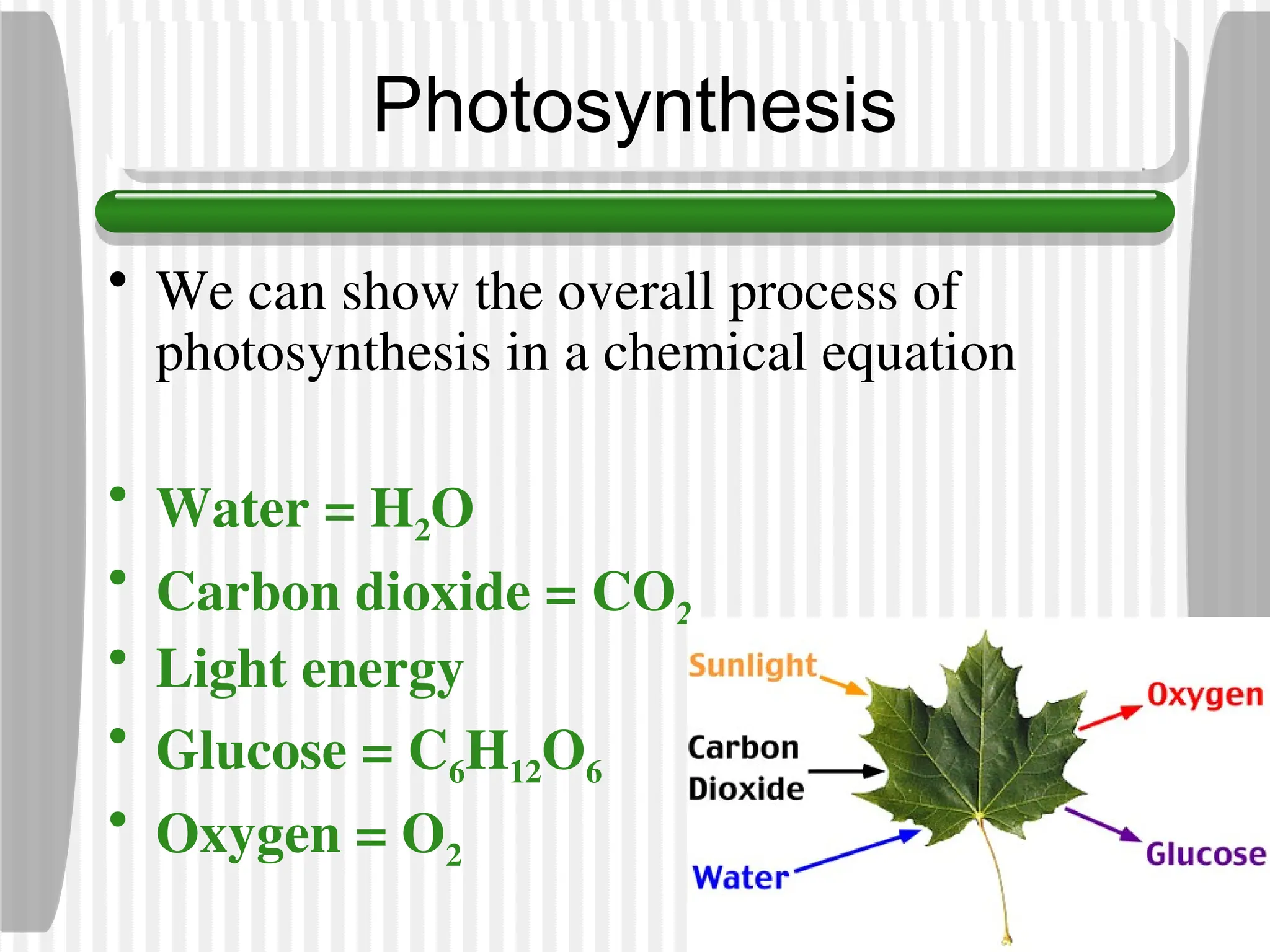 photosynthesisintroduction-Grade 9 Science.ppt | Chemistry | Science