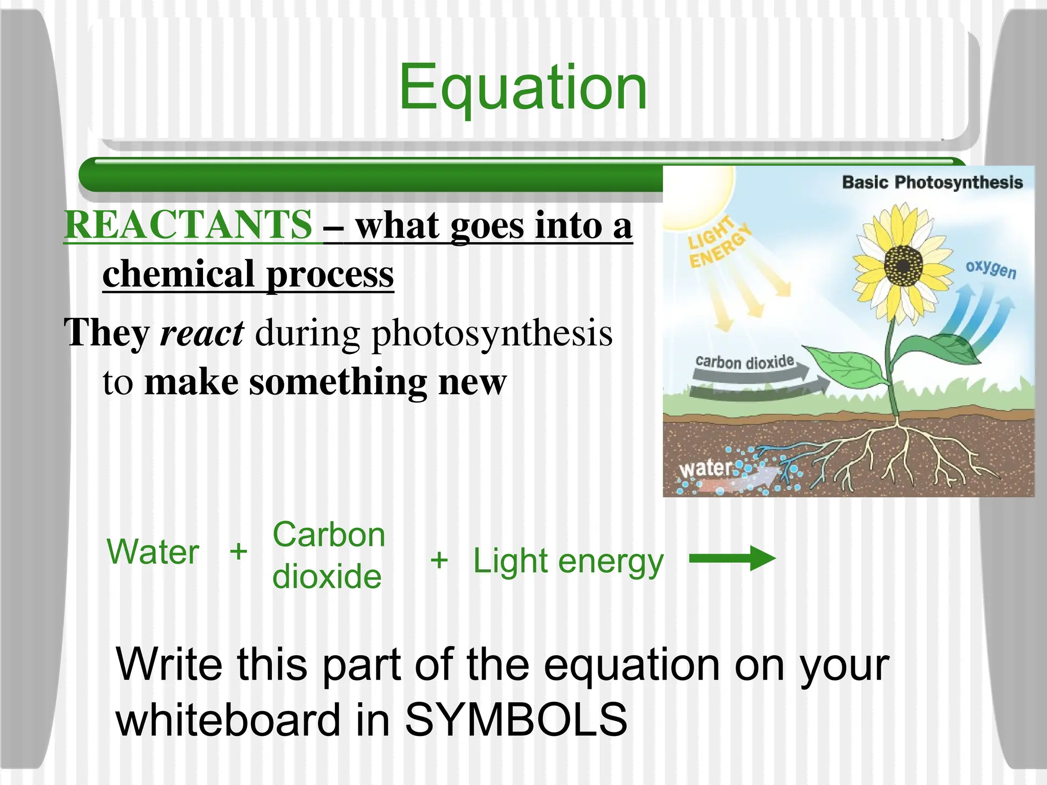 photosynthesisintroduction-Grade 9 Science.ppt
