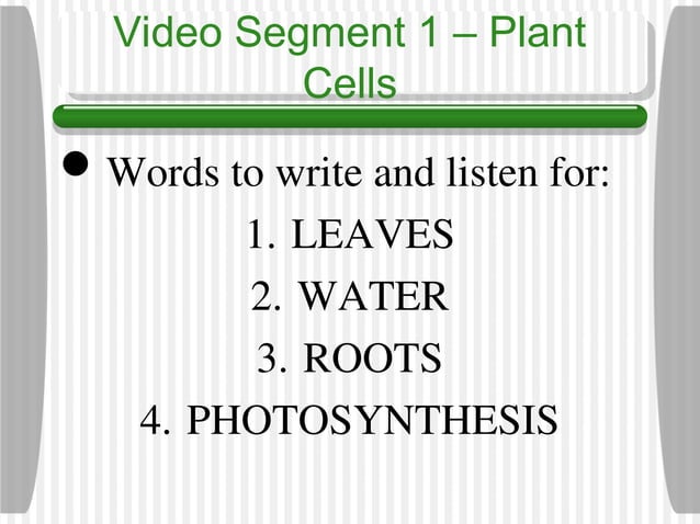 photosynthesisintroduction-Grade 9 Science.ppt | Chemistry | Science