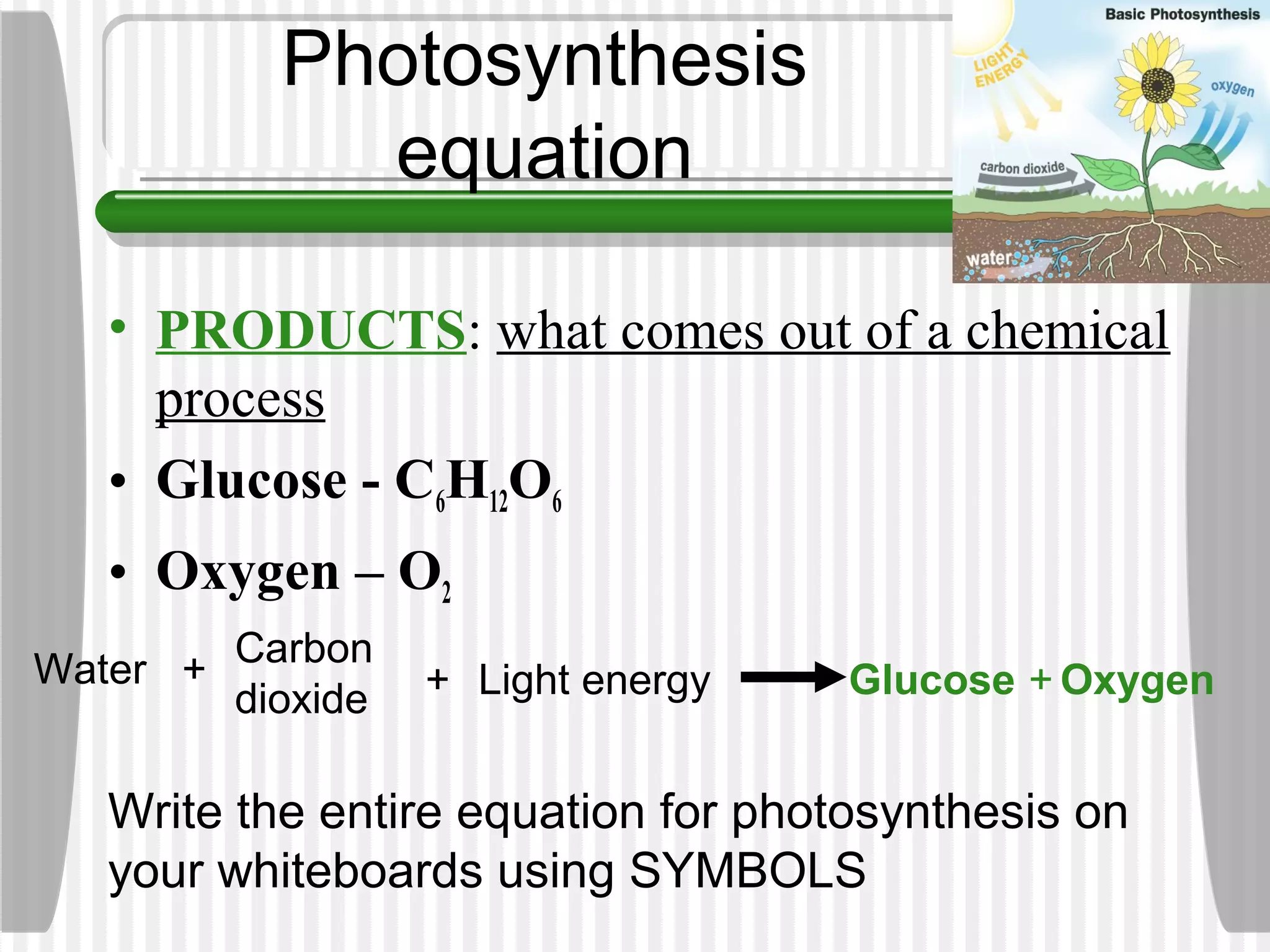 Photosynthesis introduction for Advanced Biology 9th grade | PPT