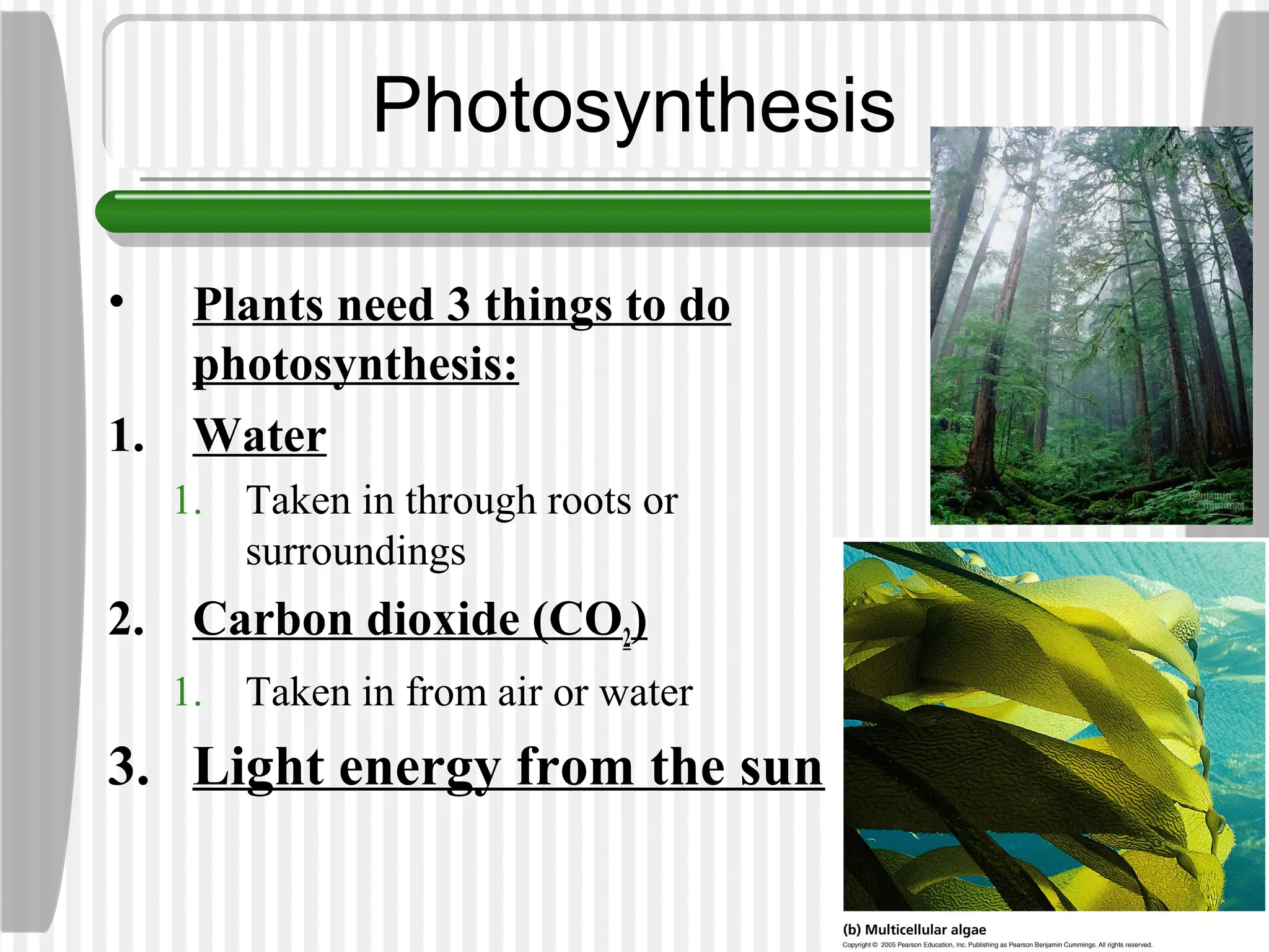 Photosynthesis introduction for Advanced Biology 9th grade | PPT