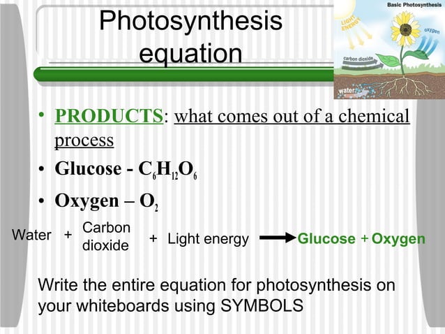 Photosynthesis introduction for Advanced Biology 9th grade | PPT