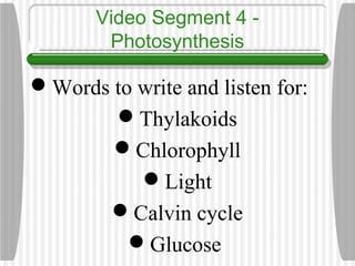 Photosynthesis introduction for Advanced Biology 9th grade | PPT