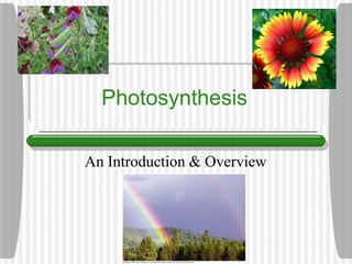 photosynthesisintroduction.pptx