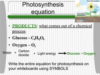photosynthesisintroduction.pptx