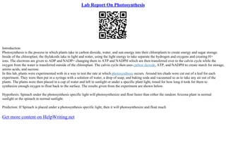 Photosynthesis Lab Hypothesis | PDF