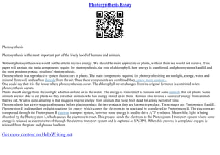 Photosynthesis Lab Report | PDF