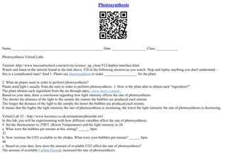 Photosynthesis Lab Report | PDF