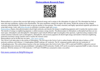 Photosynthesis Lab Report | PDF