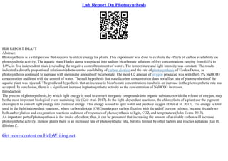 Photosynthesis Lab Report | PDF