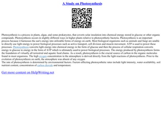 Photosynthesis Lab Report | PDF