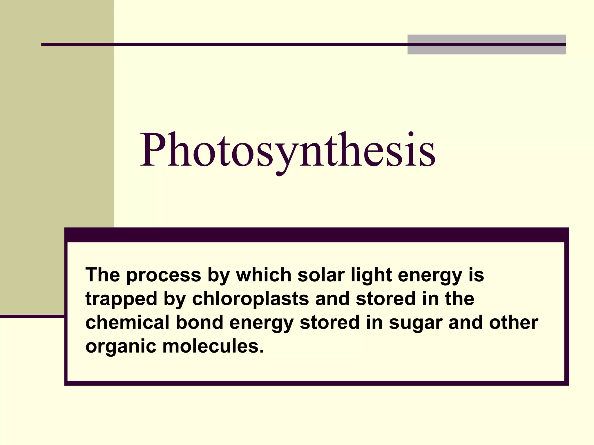 Photosynthesis lecture | PPT
