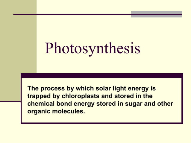 Photosynthesis lecture | PPT