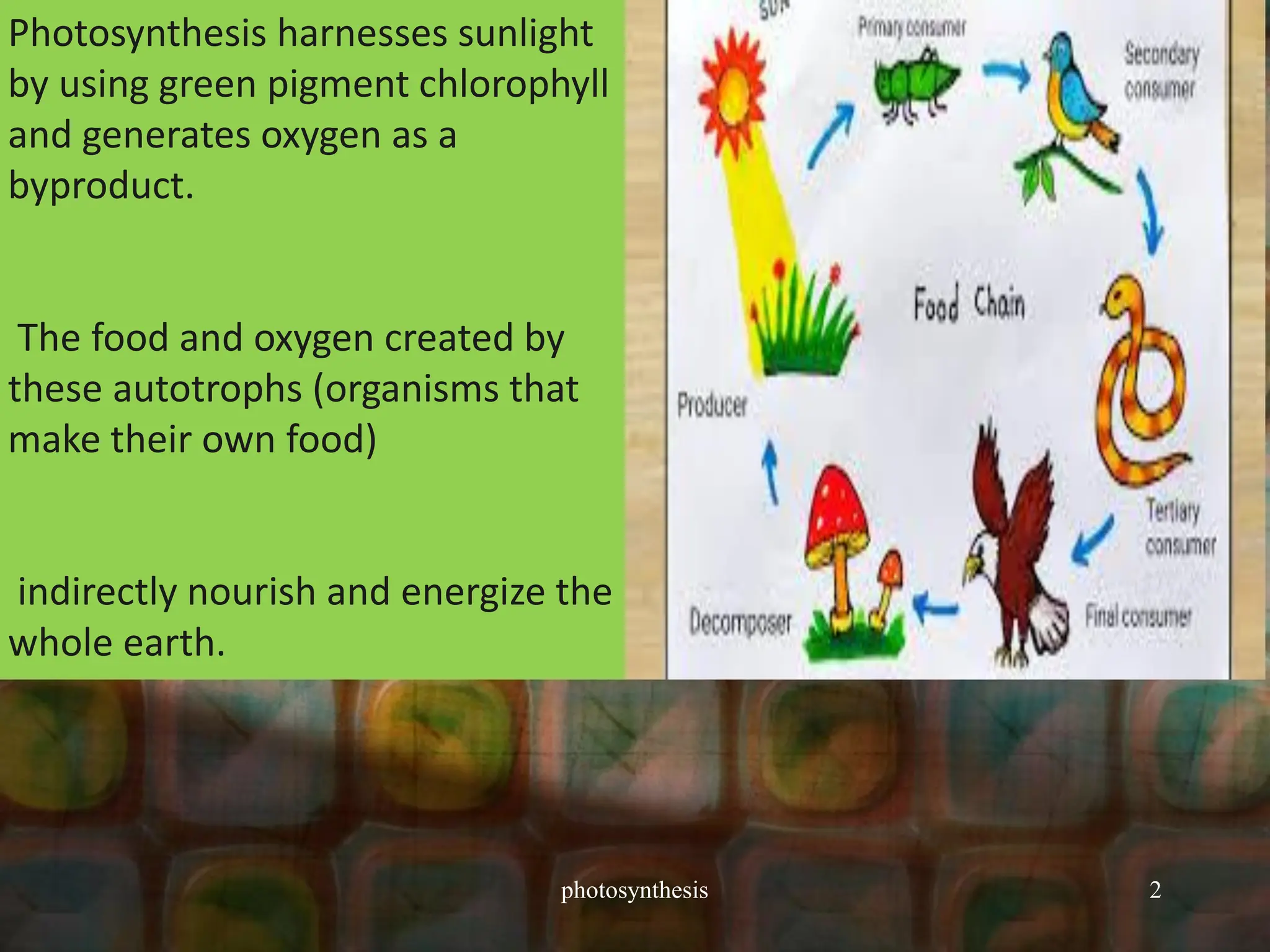 photosynthesis lecture1 introduction.pdf