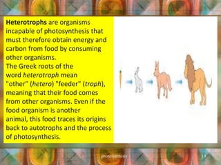 photosynthesis lecture1 introduction.pdf