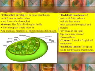 photosynthesis lecture1 introduction.pdf