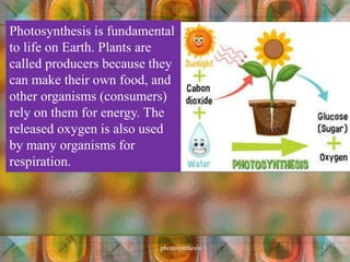 photosynthesis lecture1 introduction.pdf