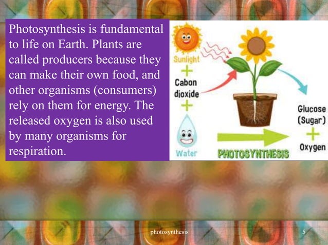 photosynthesis lecture1 introduction.pdf