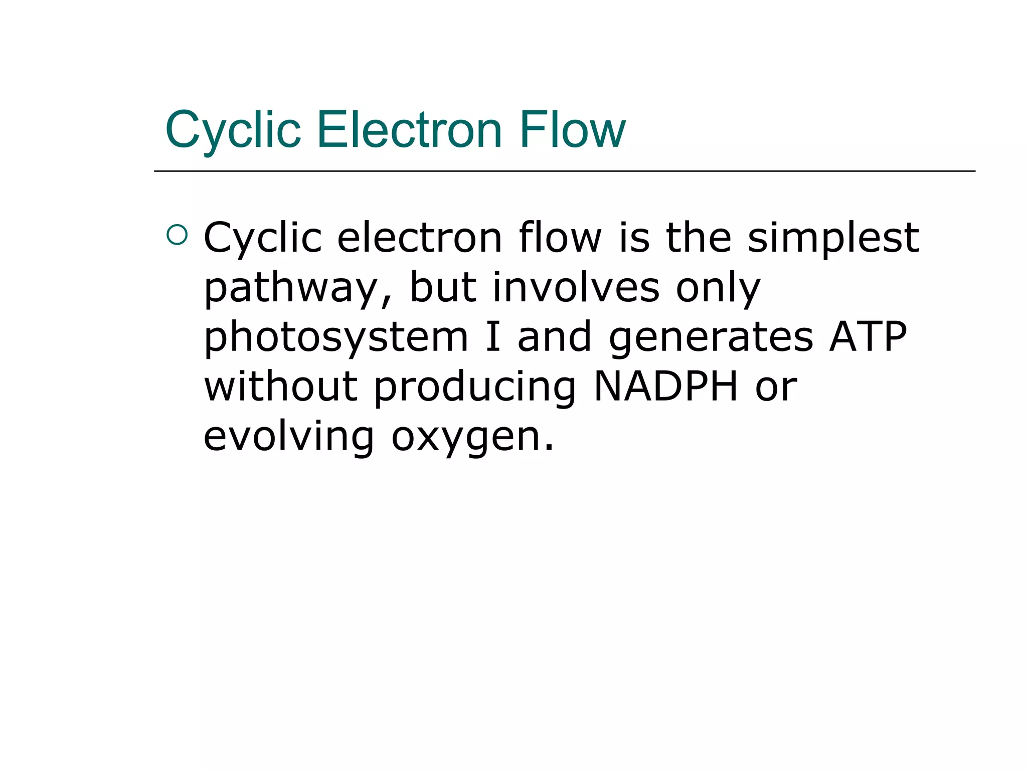 Photosynthesis lecture 3 | PPT