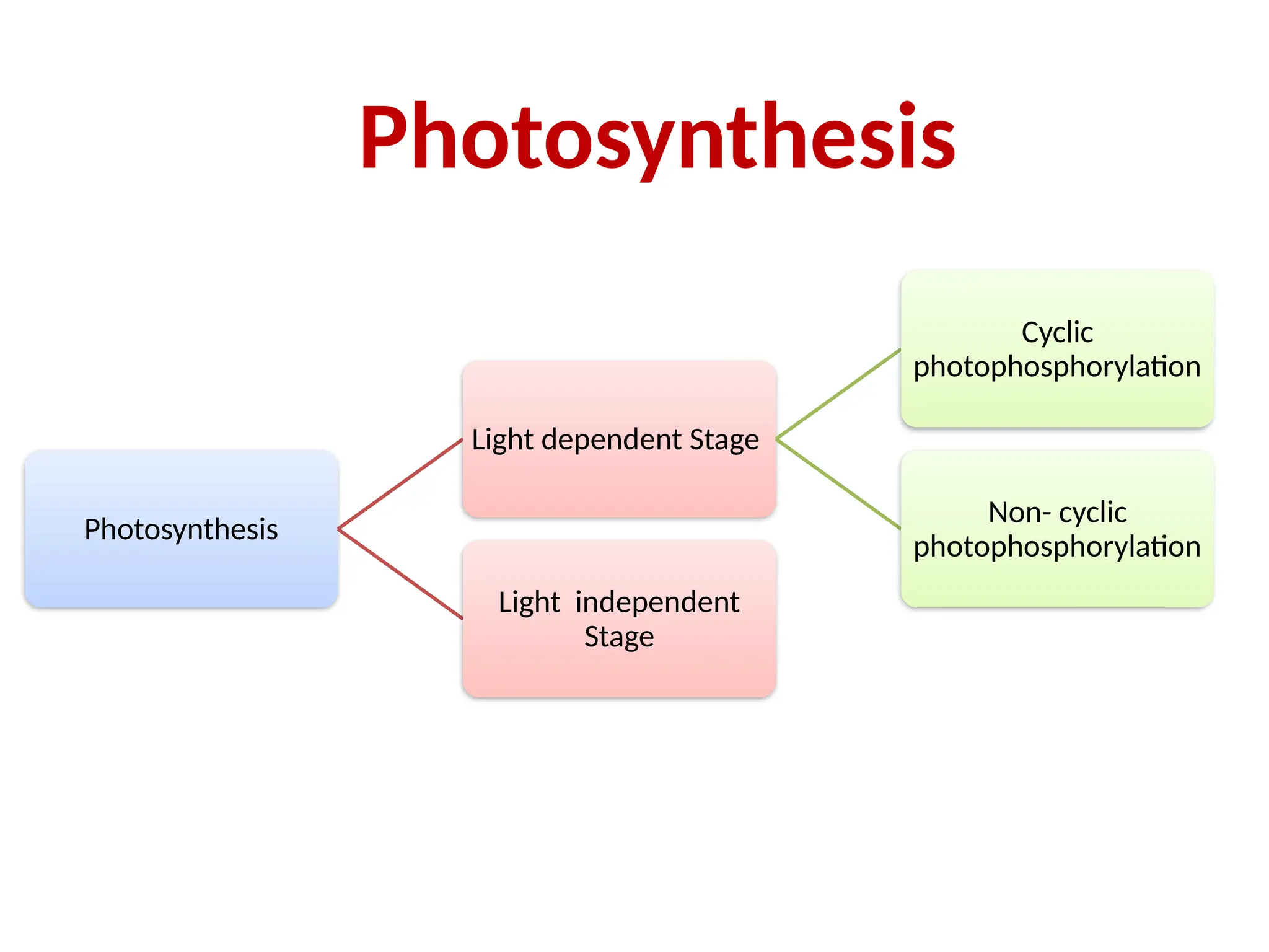 Basic principles of photosynthesis Lecture note ppt.pptx