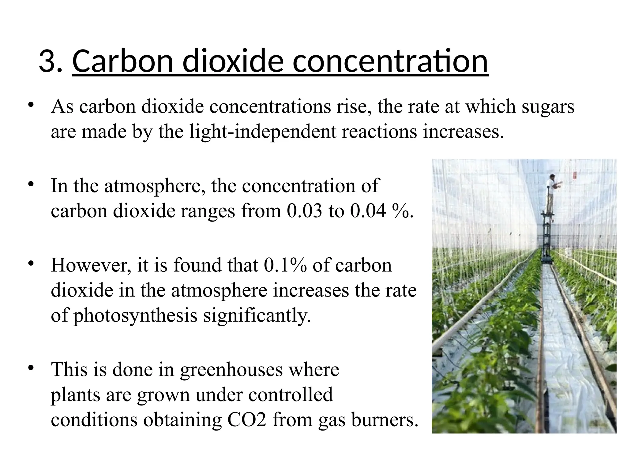 Basic principles of photosynthesis Lecture note ppt.pptx