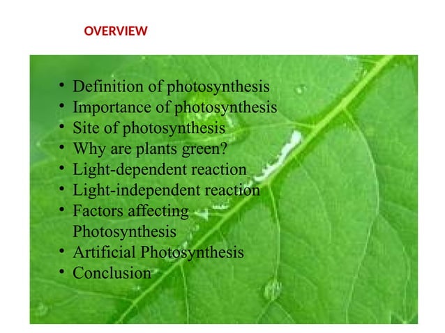 Basic principles of photosynthesis Lecture note ppt.pptx