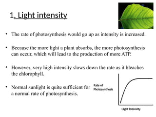 Basic principles of photosynthesis Lecture note ppt.pptx
