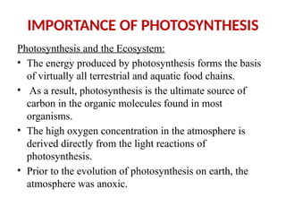 Basic principles of photosynthesis Lecture note ppt.pptx