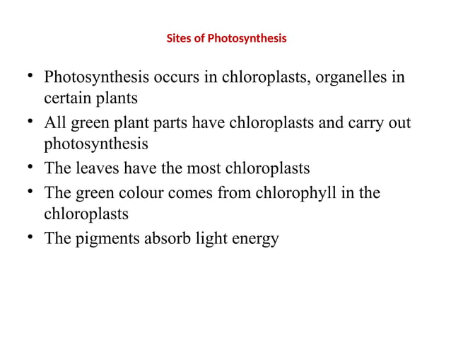 Basic principles of photosynthesis Lecture note ppt.pptx