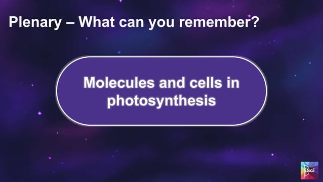 Photosynthesis Lesson Autumn 2018 Nano Simbox | PPTX