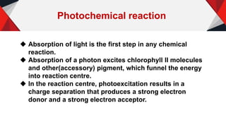 Photosynthesis light reaction | PPTX