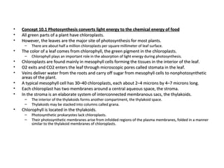 Photosynthesis Notes | PPT