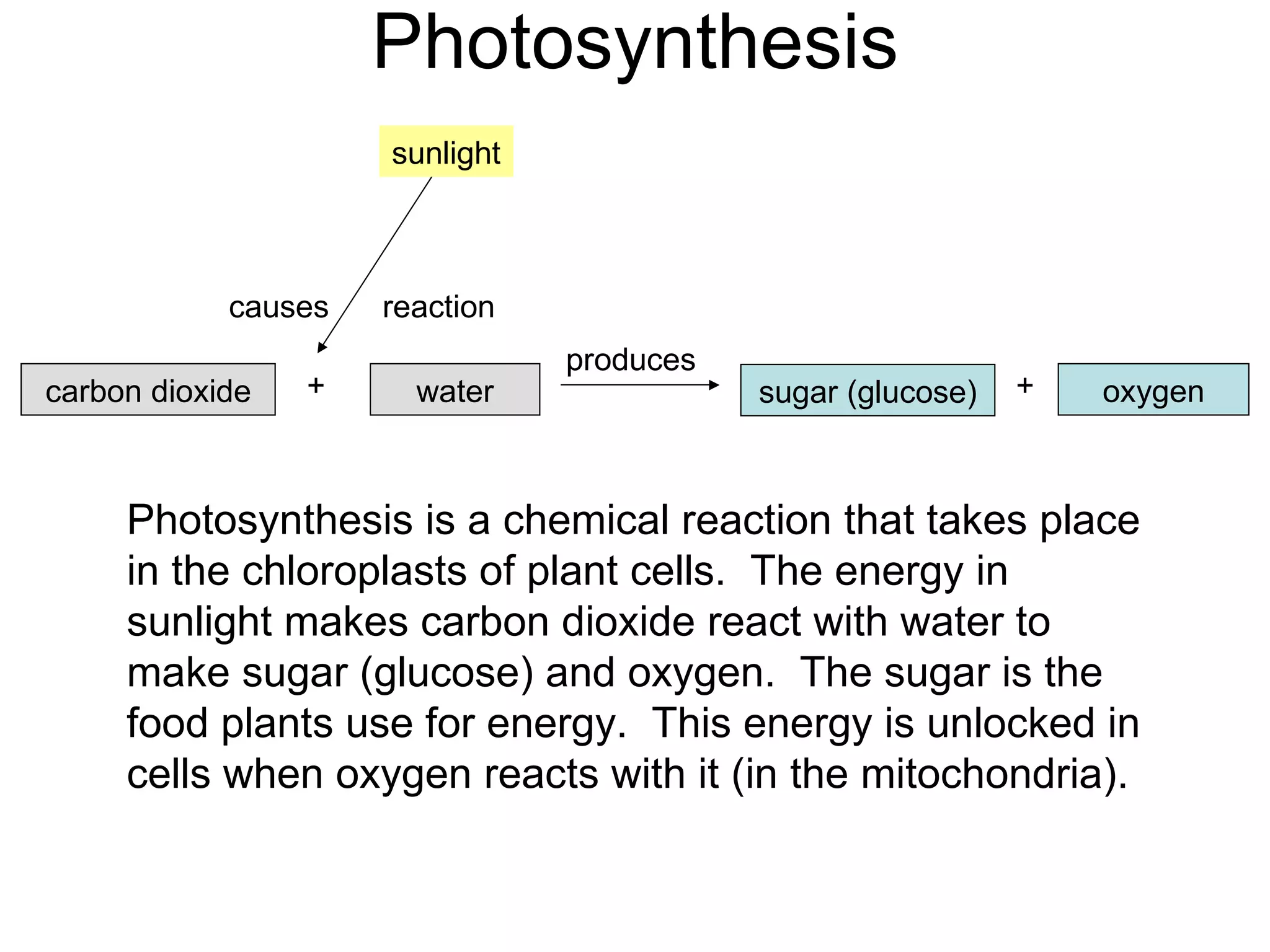 Photosynthesis notes | PPT | Chemistry | Science