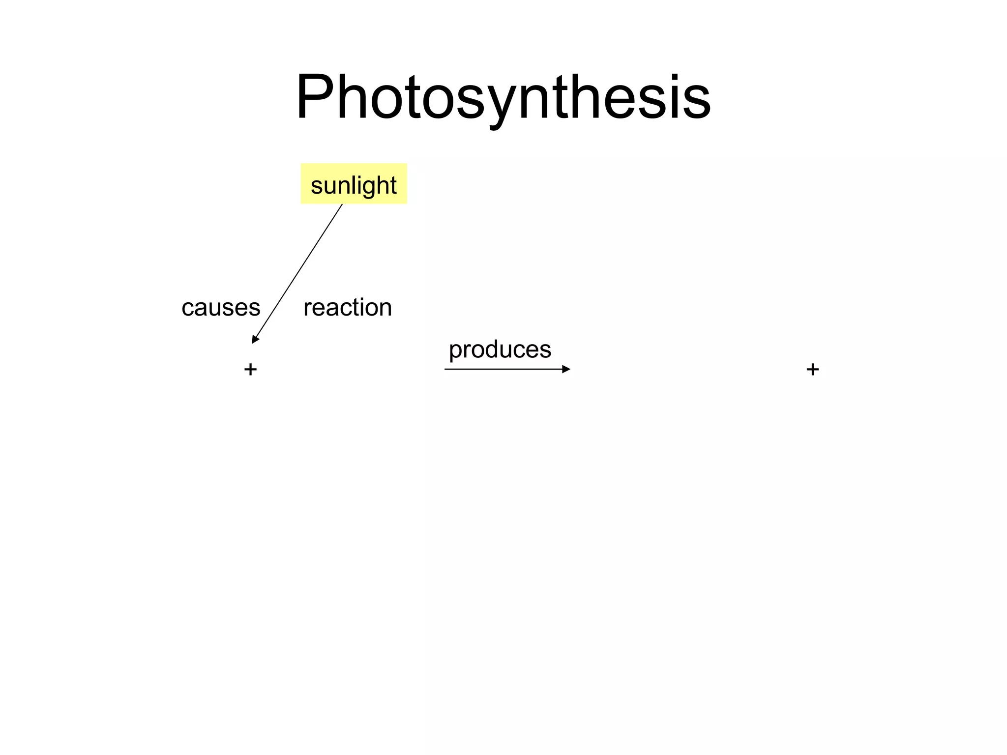 Photosynthesis notes | PPT | Chemistry | Science