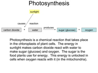 Photosynthesis notes | PPT