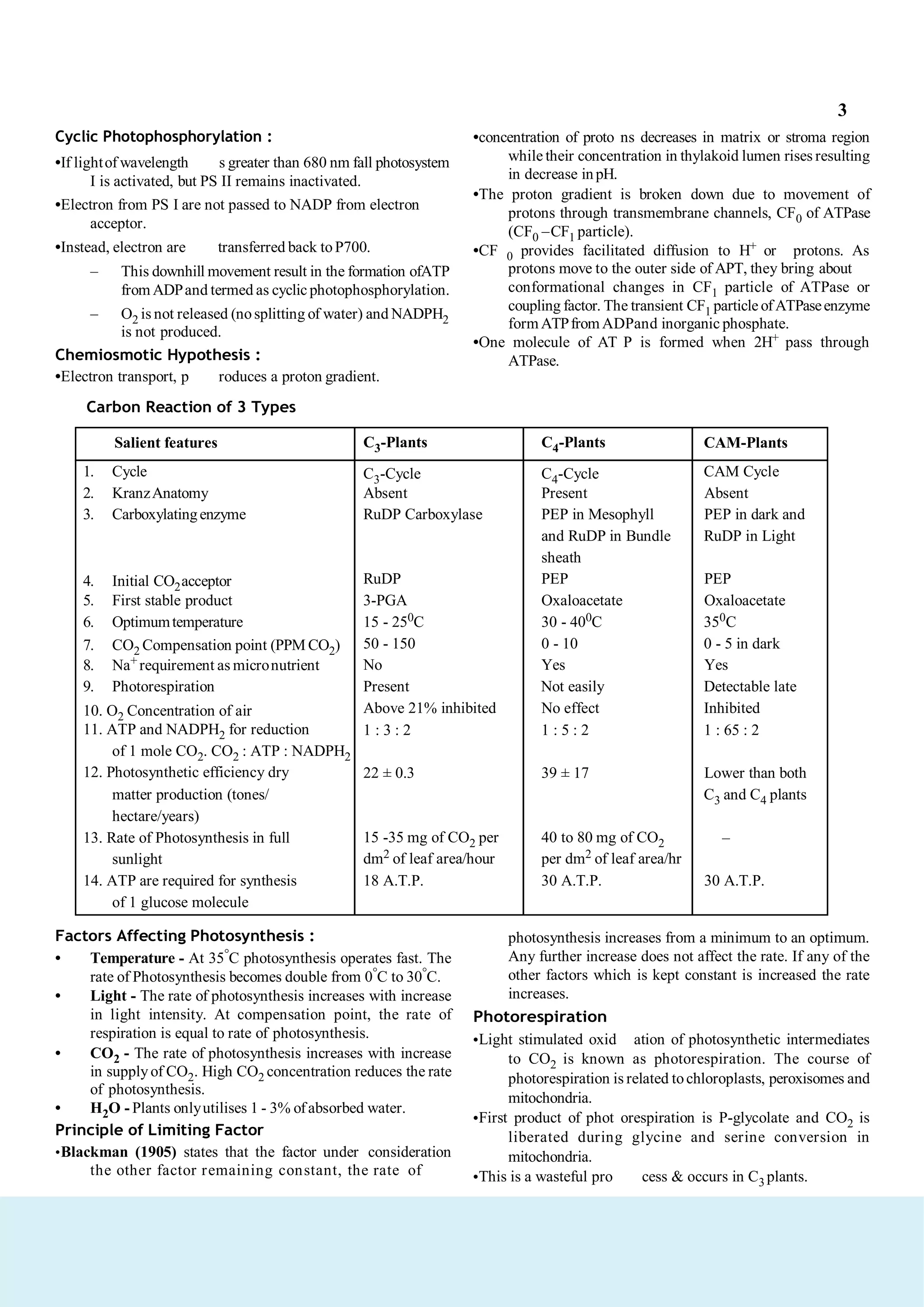 Photosynthesis Chapter/Notes | PDF