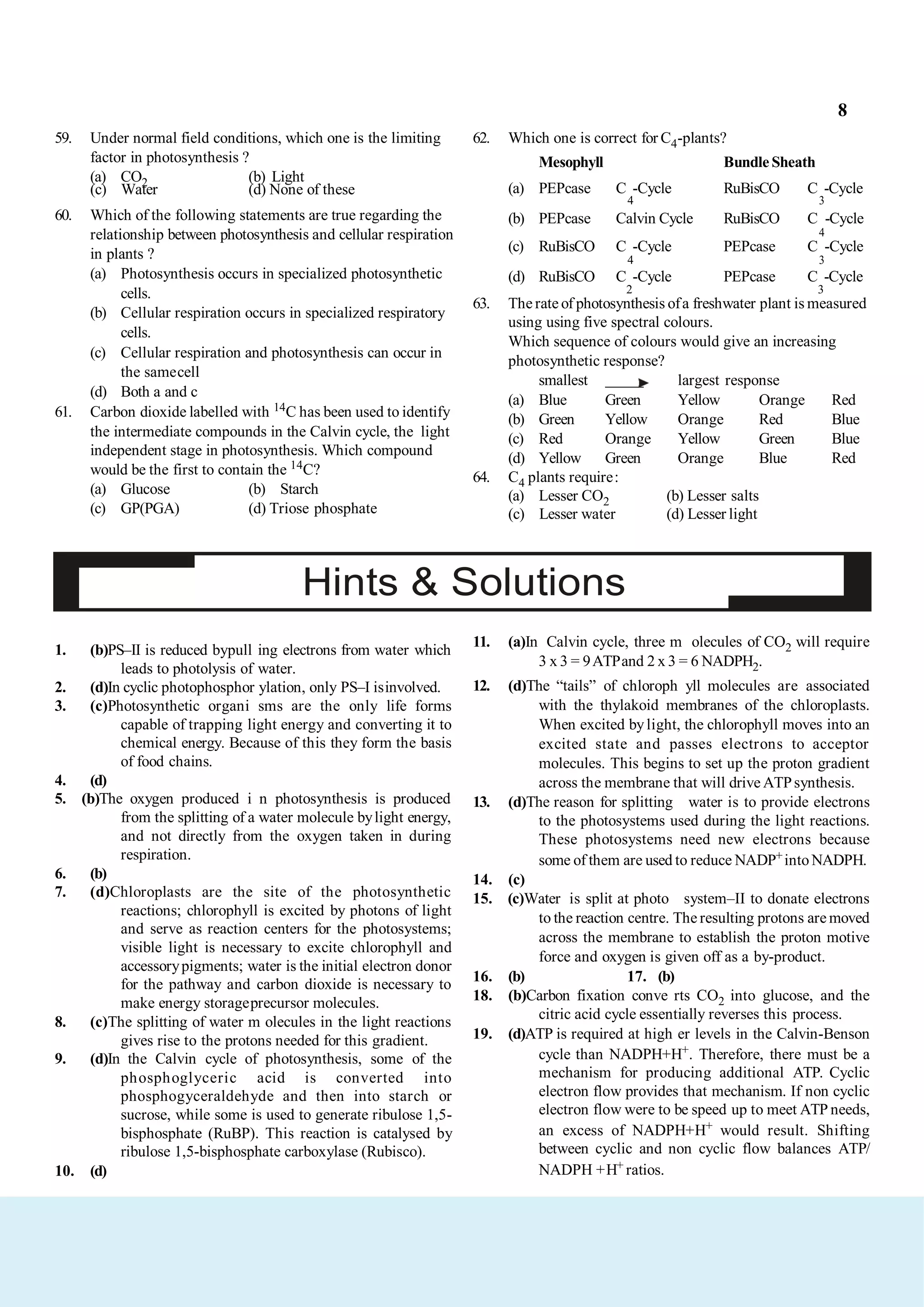 Photosynthesis Chapter/Notes | PDF