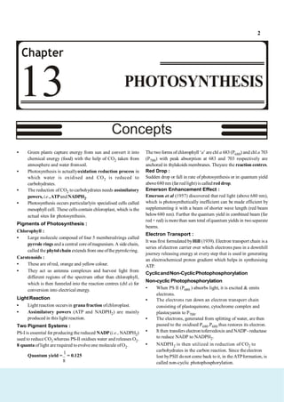 Photosynthesis Chapter/Notes | PDF