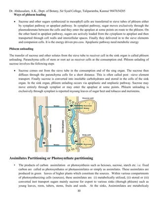 Photosynthesis notes | PDF