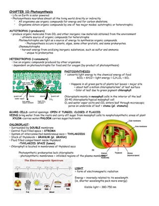Photosynthesis notes kelly | PDF