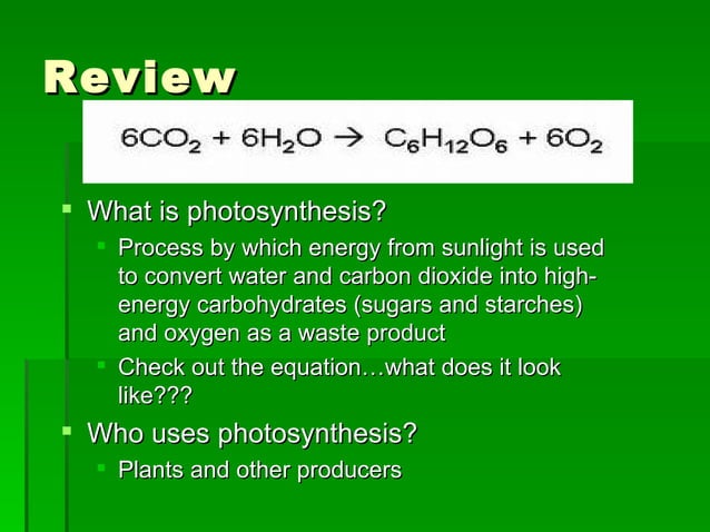 Photosynthesis part 1 | PPT | Gardening | Home &amp; Garden