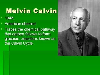 Photosynthesis part 1 | PPT