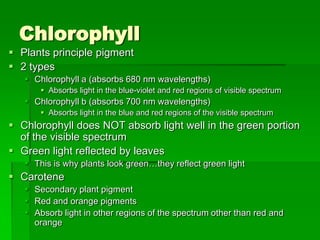 Photosynthesis part 1 | PPTX